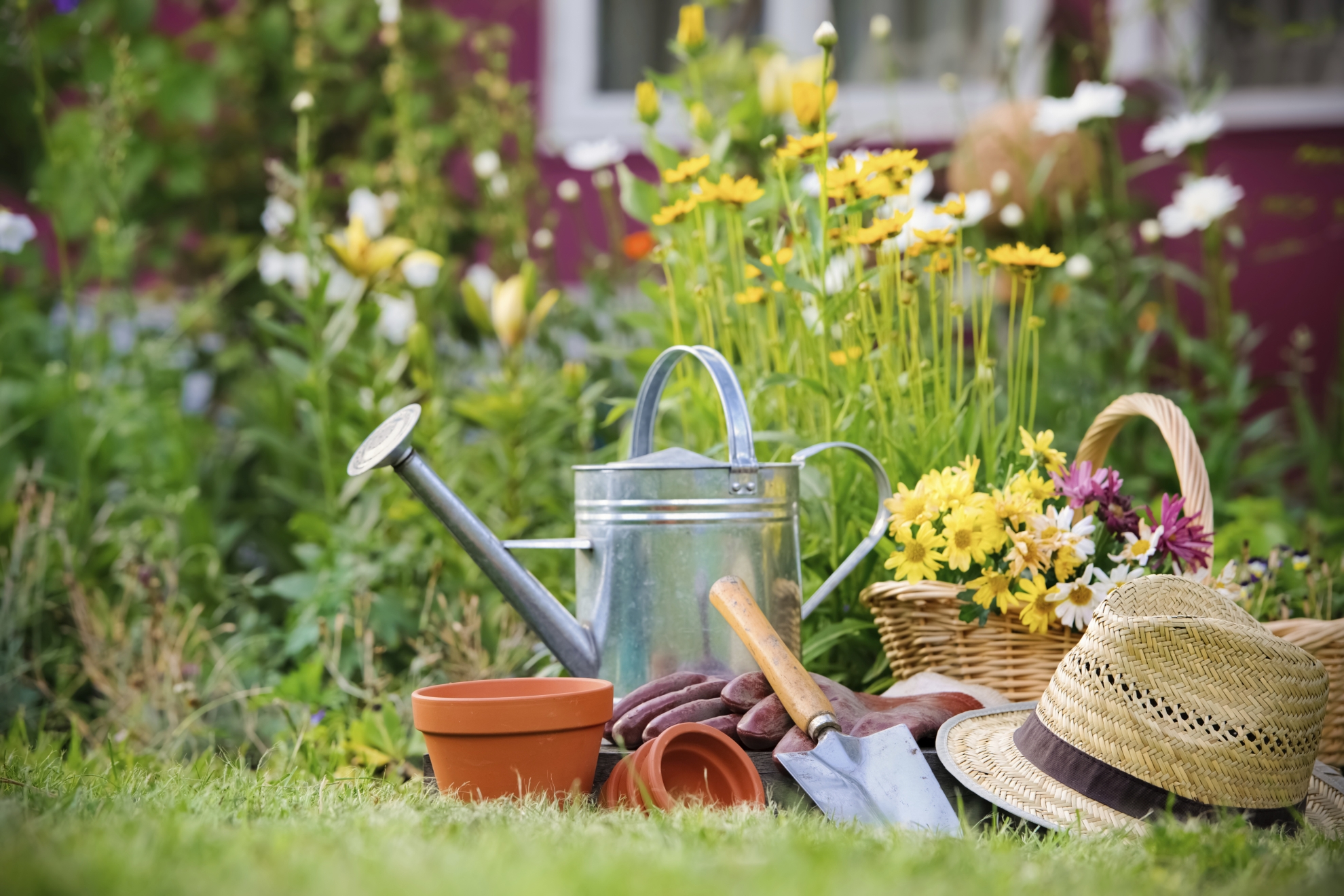 Protéger le jardin avec la gamme de produits Delbard