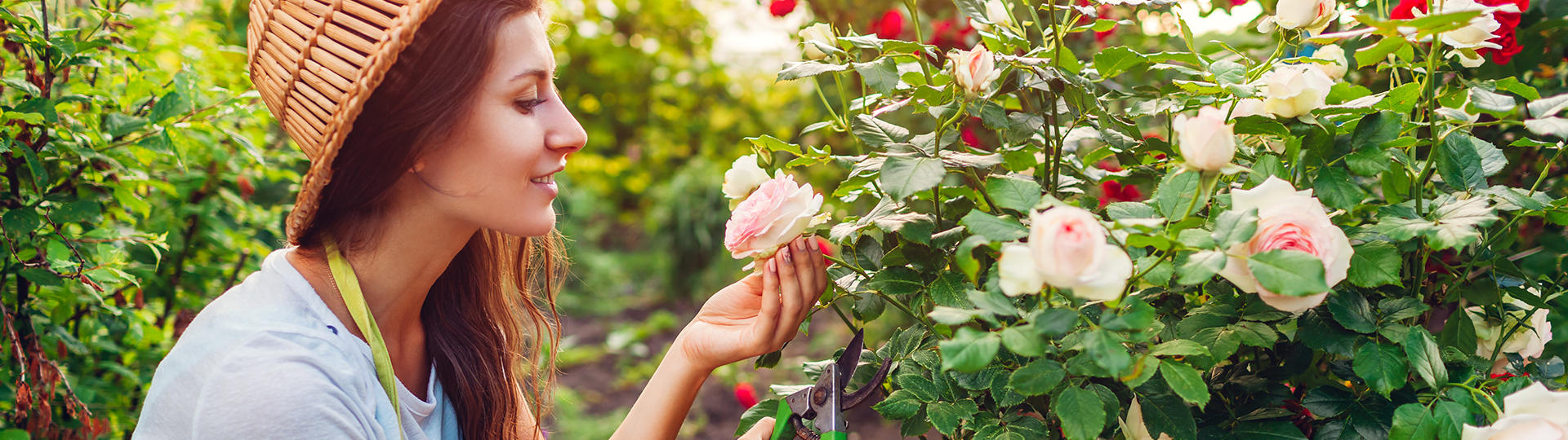 Nos promotions du moment - Delbard