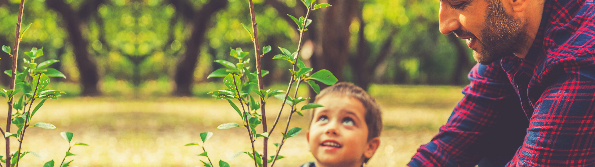 Nos promotions du moment - Delbard